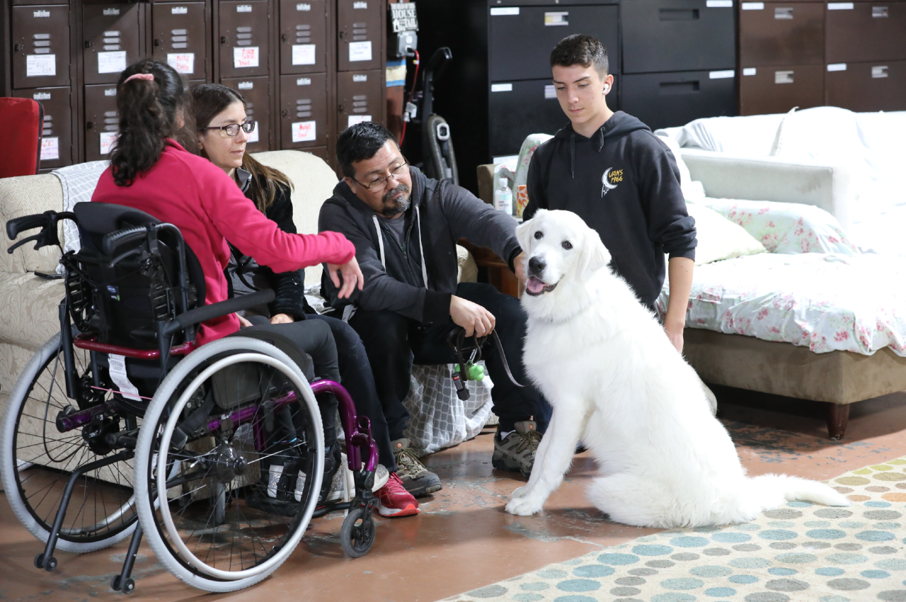 Service Dog Program - Operation Freedom Paws