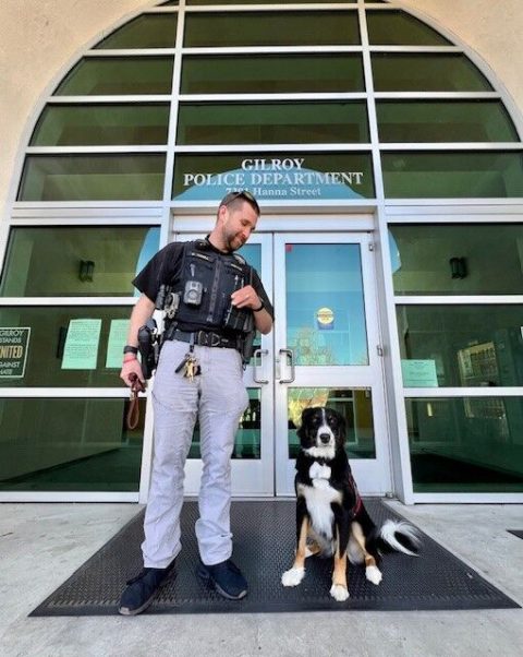 Operation Freedom Paws is Proud to Announce the Certification of K9 ...
